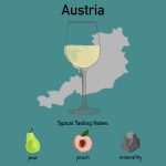 Riesling by Region: Tasting Notes From Germany & Beyond