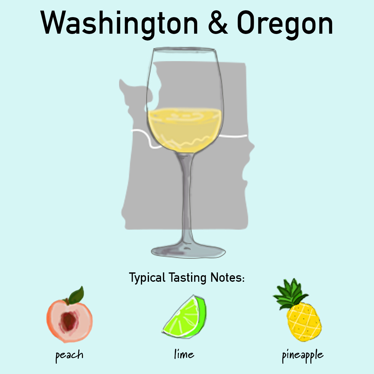 Riesling by Region: Tasting Notes From Germany & Beyond